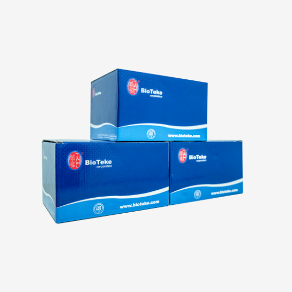 DNA Marker DL2000, DL2000, DNA Marker, DNA Marker DL2000 供应 - 百泰克生物技术有限公司